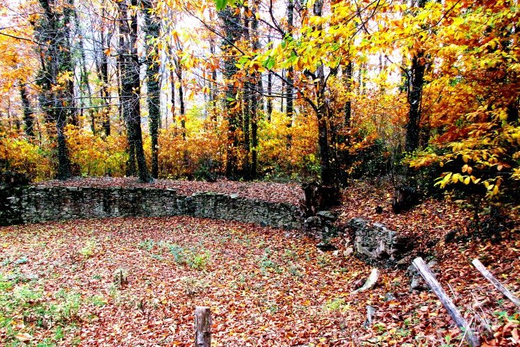 Commune de Rouairoux